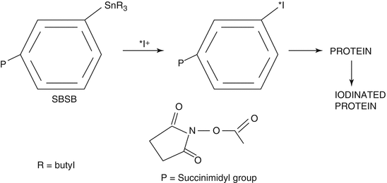Radiopharmaceuticals and General Methods of Radiolabeling | SpringerLink