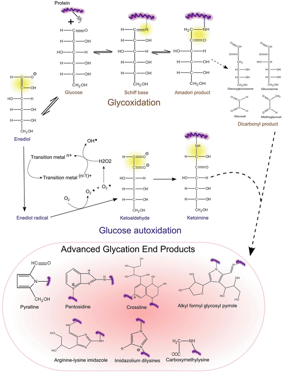 Advanced Glycation End Products (AGEs) in Diabetic Complications ...