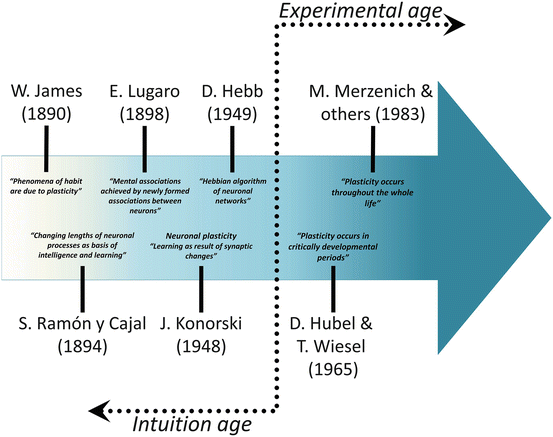 What Is Neural Plasticity? | SpringerLink