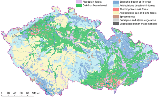 Current Vegetation of the Czech Republic | SpringerLink