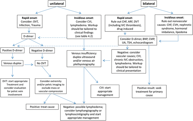 Evaluation of Edema of the Extremity | SpringerLink