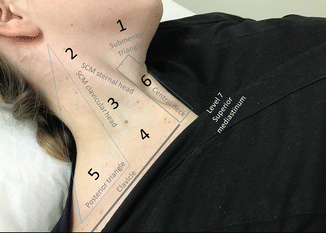 Normal Neck Anatomy and Method of Performing Ultrasound Examination ...