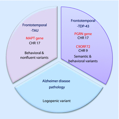 Major or Mild Frontotemporal Neurocognitive Disorder | SpringerLink