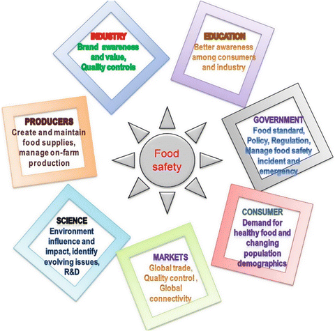 Importance of Food Science and Technology- Way to Future | SpringerLink