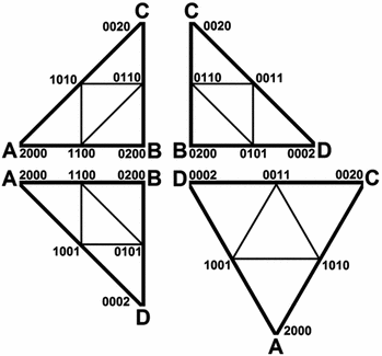 Interpolation on Unstructured Tetrahedral Grids | SpringerLink