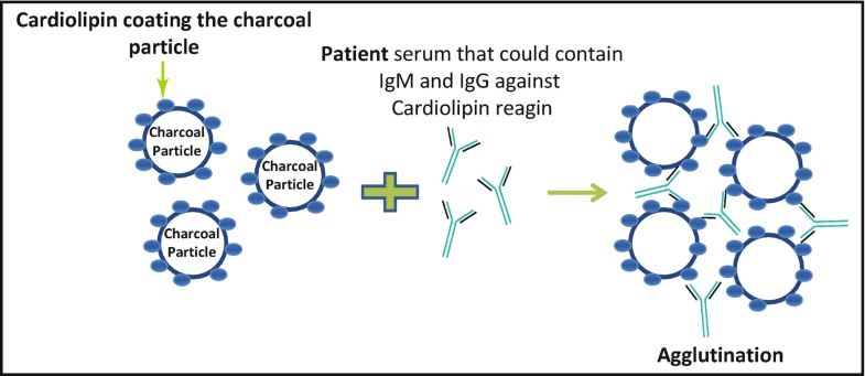 Rapid Plasma Reagin (RPR) Test | SpringerLink