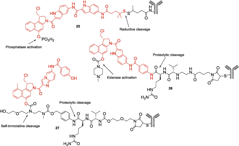 Next Generation Payloads for ADCs | SpringerLink