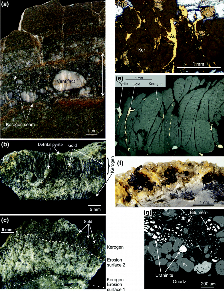 The Witwatersrand Basin and Its Gold Deposits | SpringerLink