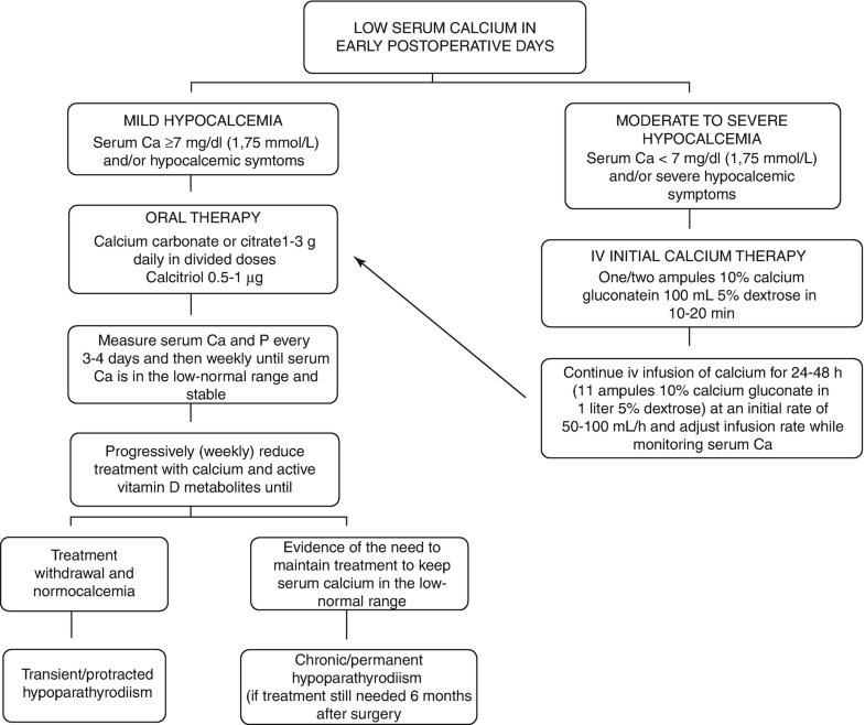 Management of Post-operative Hypocalcemia | SpringerLink