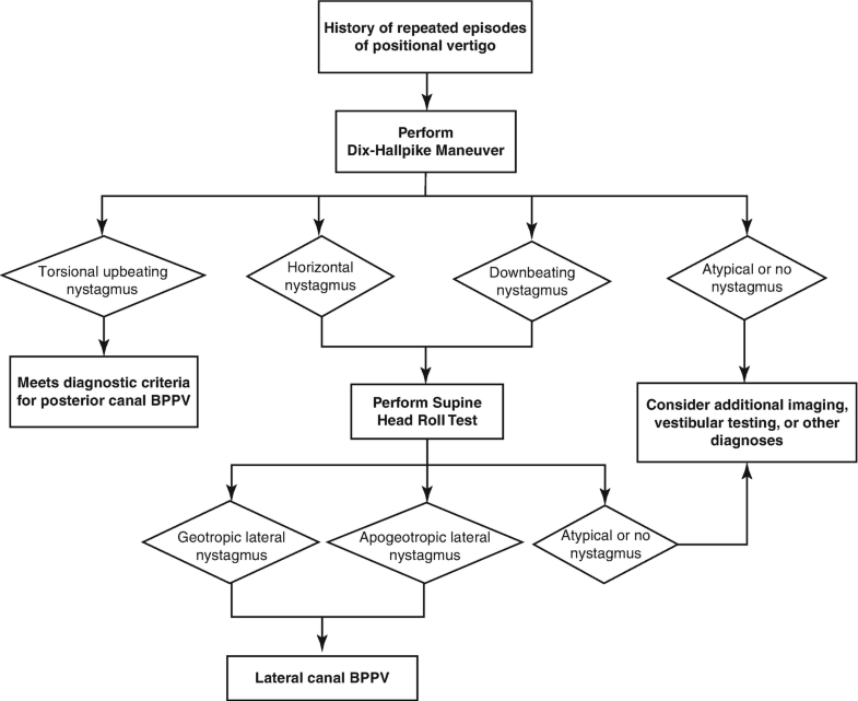 Pathophysiology and Diagnosis of BPPV | SpringerLink