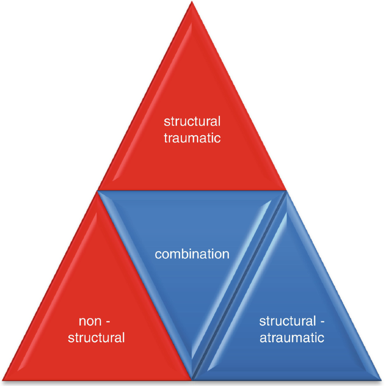 Anterior Glenohumeral Instability | SpringerLink