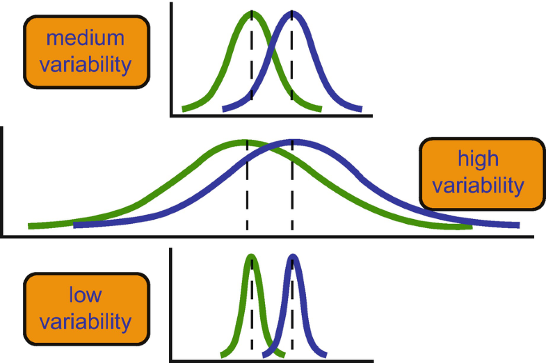Bivariate Statistics with Categorical Variables | SpringerLink