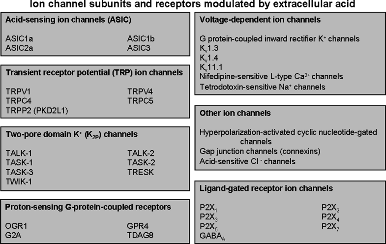 Acid-Sensitive Ion Channels and Receptors | SpringerLink