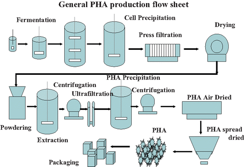 Industrial Production of PHA | SpringerLink