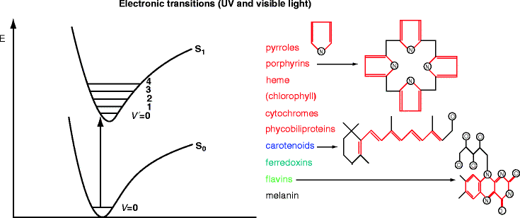 Laser-Tissue Interactions | SpringerLink
