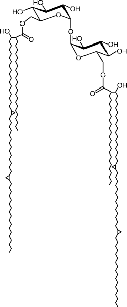 Trehalolipids | SpringerLink