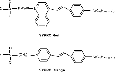 Optimized Dyes for Protein and Nucleic Acid Detection | SpringerLink