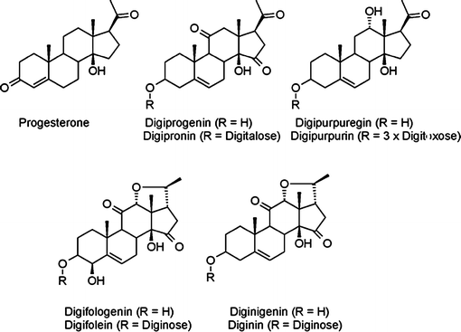 Digitalis | SpringerLink