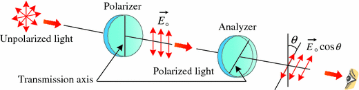 Interference, Diffraction and Polarization of Light | SpringerLink