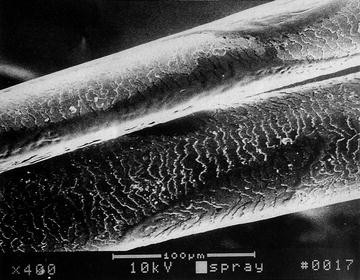 Polymers in Hair Products | SpringerLink