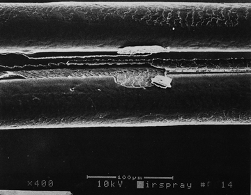 Polymers in Hair Products | SpringerLink