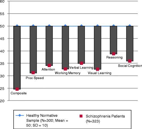 Cognitive Impairment in Schizophrenia | SpringerLink