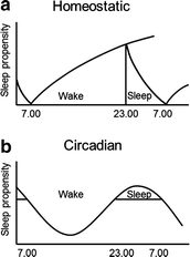 The Circadian Control of Sleep | SpringerLink