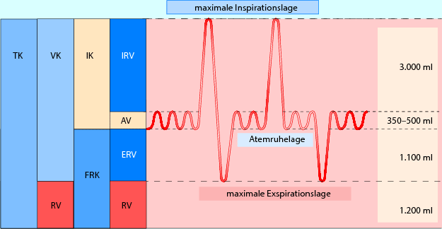 Krankheiten der Lunge | SpringerLink
