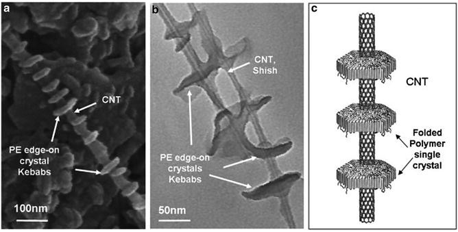 Polymer Single Crystals in Nanoparticle-Containing Hybrid Systems ...