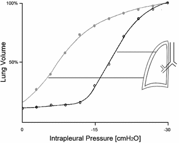 Examples of Hysteresis Phenomena in Biology | SpringerLink