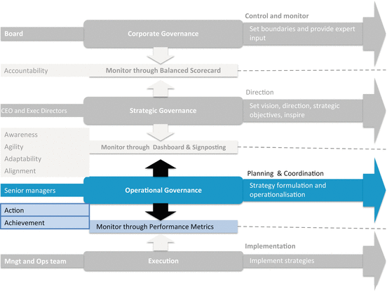 Operational Governance | SpringerLink
