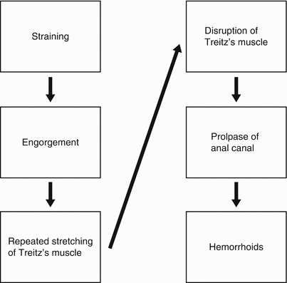 The Pathophysiology of Hemorrhoids | SpringerLink