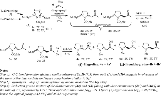 Hygrine, Hygroline, and Cuscohygrine ( Ornithine-Derived Alkaloids ...