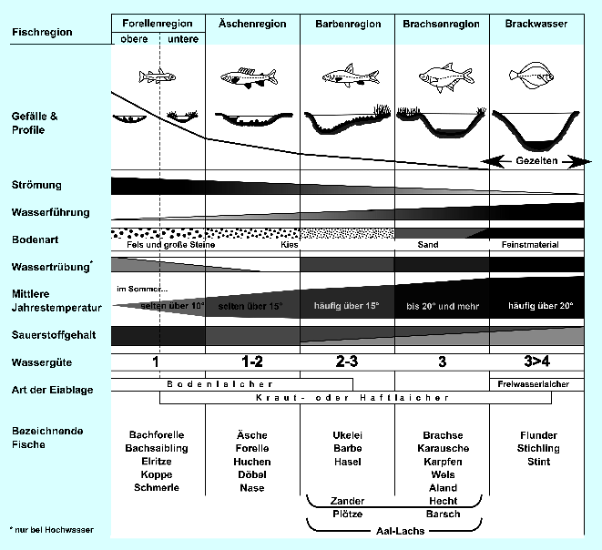 Aquatische Lebensräume | SpringerLink