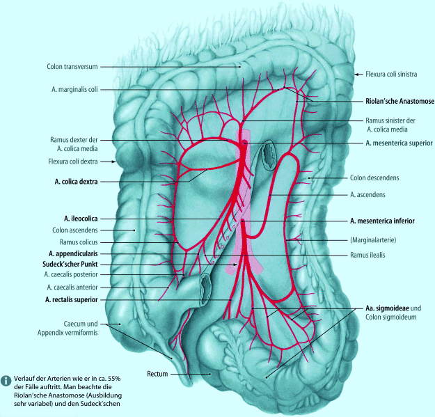 Diagnostik und Therapie – allgemein | SpringerLink
