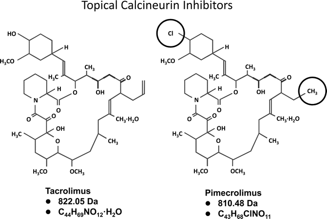 Calcineurin Inhibitors: Topical | SpringerLink