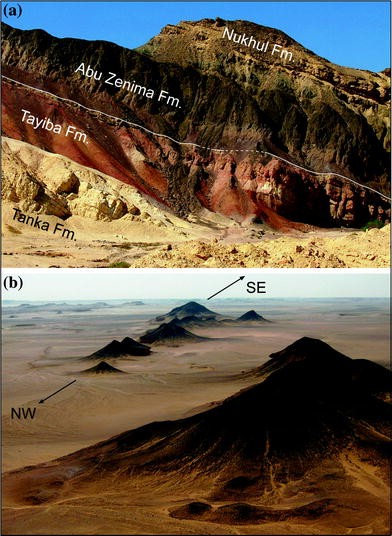 Geological Evolution of the Red Sea: Historical Background, Review, and ...