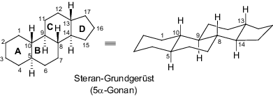 Steroide | SpringerLink