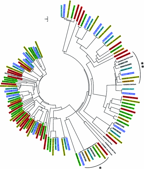 The Genus DehalobacterDehalobacter | SpringerLink