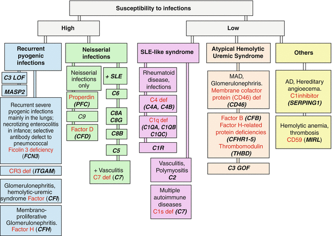 Introduction on Primary Immunodeficiency Diseases | SpringerLink