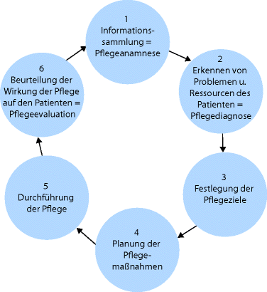 Der Pflegeprozess | SpringerLink