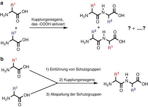 Methoden zur Synthese und Analyse von Peptiden und Proteinen | SpringerLink