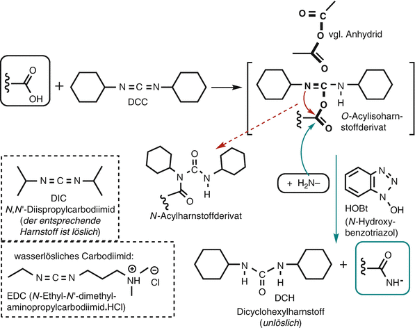 Methoden zur Synthese und Analyse von Peptiden und Proteinen | SpringerLink