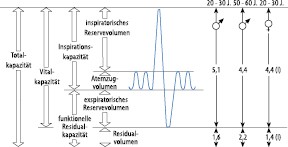 Physiologie der Atmung | SpringerLink