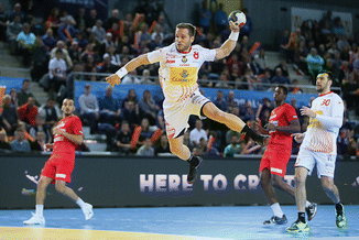Handball Injuries: Epidemiology and Injury Characterization: Part 2 ...