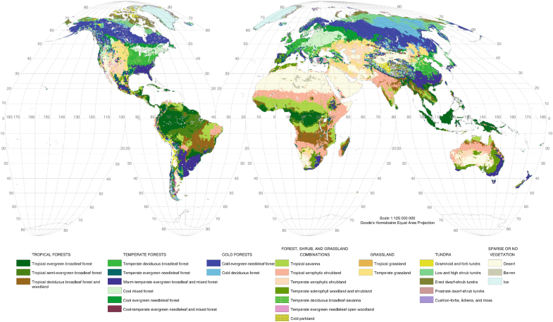 Global Biogeochemical Cycles | SpringerLink