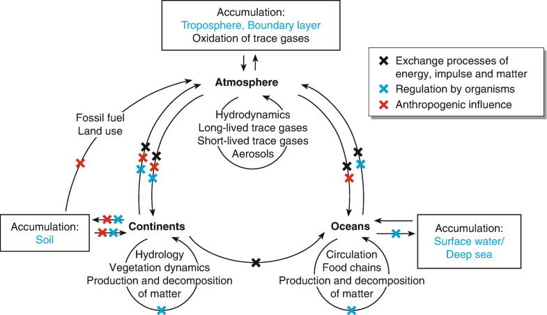 Global Biogeochemical Cycles | SpringerLink