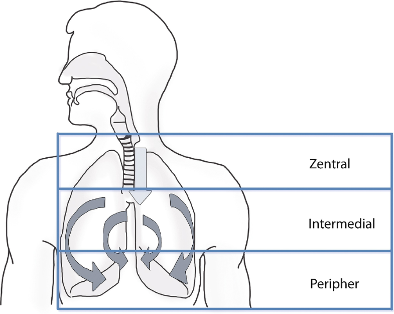 Inhalationstherapie | SpringerLink