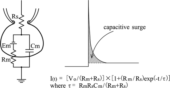Patch-Clamp Techniques: General Remarks | SpringerLink