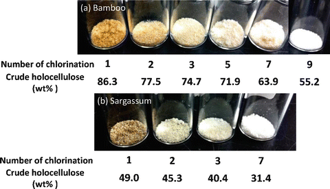 Holocellulose Determination in Biomass | SpringerLink